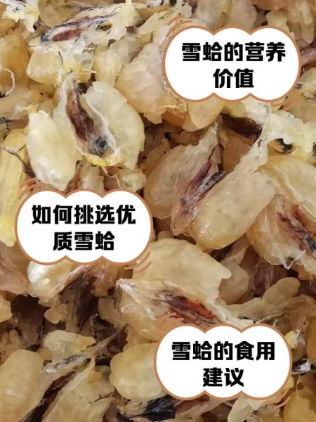 雪蛤的功效与作用_雪蛤怎么炖才好吃-第1张图片-山城妙识 雪蛤的功效与作用_雪蛤怎么炖才好吃-第1张图片-山城妙识