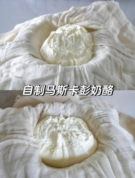 奶酪怎么做_家庭奶酪制作步骤-第1张图片-山城妙识 奶酪怎么做_家庭奶酪制作步骤-第1张图片-山城妙识