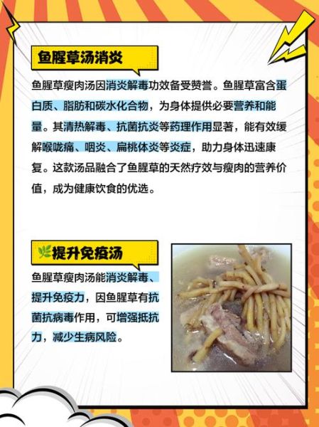 广东鱼腥草煲汤的做法_鱼腥草煲汤有什么功效-第1张图片-山城妙识 广东鱼腥草煲汤的做法_鱼腥草煲汤有什么功效-第1张图片-山城妙识