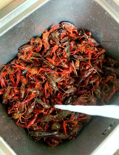 红烧龙虾怎么做才入味_家常红烧龙虾步骤-第3张图片-山城妙识 红烧龙虾怎么做才入味_家常红烧龙虾步骤-第3张图片-山城妙识