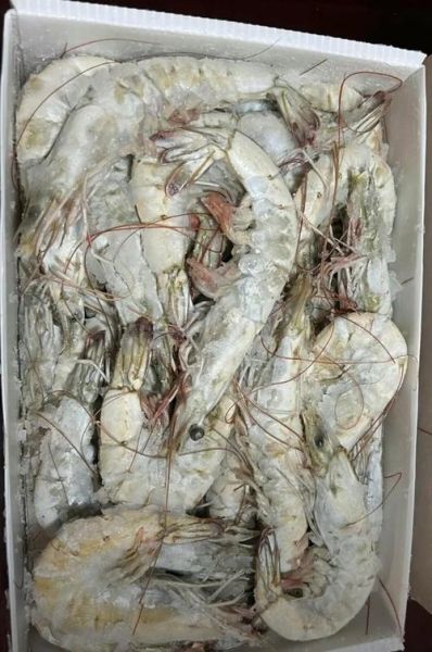 水煮虾怎么煮才鲜嫩_水煮虾需要焯水吗-第1张图片-山城妙识 水煮虾怎么煮才鲜嫩_水煮虾需要焯水吗-第1张图片-山城妙识