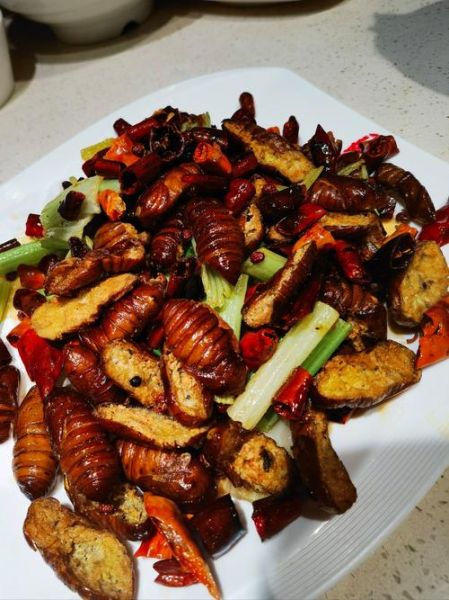 茧蛹怎么做好吃_茧蛹的做法大全-第3张图片-山城妙识 茧蛹怎么做好吃_茧蛹的做法大全-第3张图片-山城妙识