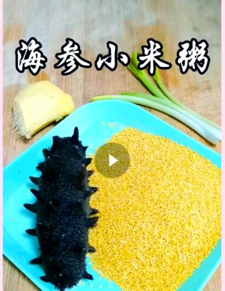 海参煮粥怎么做法_海参粥怎样煮才好吃-第1张图片-山城妙识 海参煮粥怎么做法_海参粥怎样煮才好吃-第1张图片-山城妙识