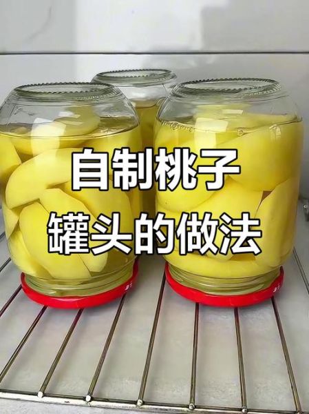 自制桃子罐头怎么做_桃子罐头保存多久-第2张图片-山城妙识