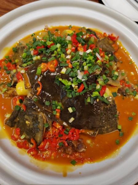 红烧甲鱼怎么做_红烧甲鱼焯水还是直接下锅-第2张图片-山城妙识 红烧甲鱼怎么做_红烧甲鱼焯水还是直接下锅-第2张图片-山城妙识