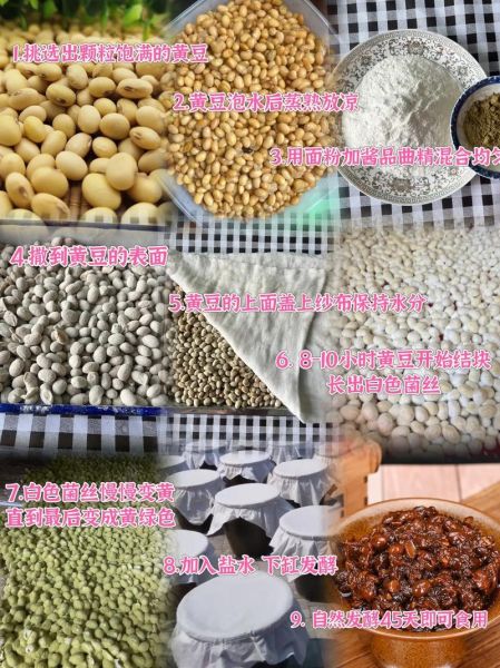 黄豆酱怎么做_家庭自制黄豆酱步骤-第3张图片-山城妙识 黄豆酱怎么做_家庭自制黄豆酱步骤-第3张图片-山城妙识