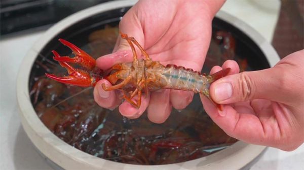 小龙虾怎么清洗_小龙虾怎么做好吃-第3张图片-山城妙识 小龙虾怎么清洗_小龙虾怎么做好吃-第3张图片-山城妙识