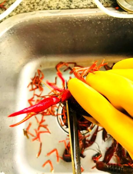 小龙虾怎么清洗_小龙虾怎么做好吃-第1张图片-山城妙识 小龙虾怎么清洗_小龙虾怎么做好吃-第1张图片-山城妙识