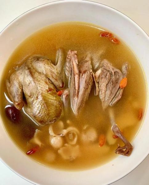 乳鸽汤怎么炖好喝_乳鸽汤的做法步骤-第1张图片-山城妙识 乳鸽汤怎么炖好喝_乳鸽汤的做法步骤-第1张图片-山城妙识