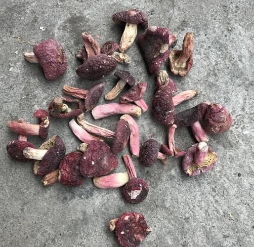野生蘑菇怎么清洗_野生蘑菇怎么炒才好吃-第1张图片-山城妙识 野生蘑菇怎么清洗_野生蘑菇怎么炒才好吃-第1张图片-山城妙识