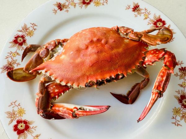 青蟹怎么蒸_青蟹清蒸几分钟-第3张图片-山城妙识 青蟹怎么蒸_青蟹清蒸几分钟-第3张图片-山城妙识