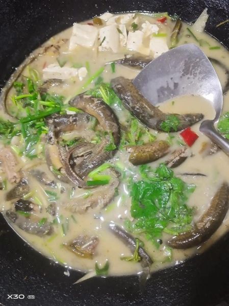 泥鳅炖豆腐怎么做_泥鳅炖豆腐的家常做法-第2张图片-山城妙识