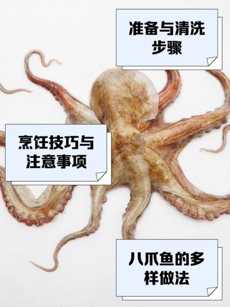 八爪鱼怎么做好吃_八爪鱼焯水几分钟才嫩-第3张图片-山城妙识 八爪鱼怎么做好吃_八爪鱼焯水几分钟才嫩-第3张图片-山城妙识