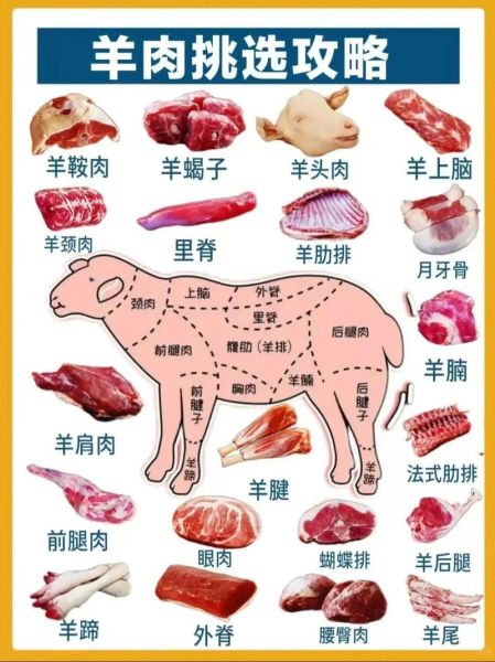 羊肉怎么做好吃_羊肉做法大全-第2张图片-山城妙识 羊肉怎么做好吃_羊肉做法大全-第2张图片-山城妙识