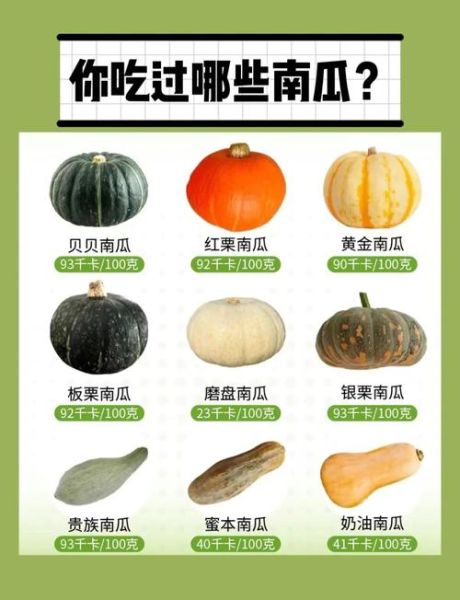 蒸贝贝小南瓜的做法_蒸多久才软糯香甜-第3张图片-山城妙识