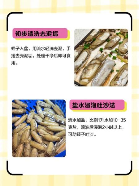 竹蛏王怎么清洗_竹蛏王蒸多久才熟-第1张图片-山城妙识