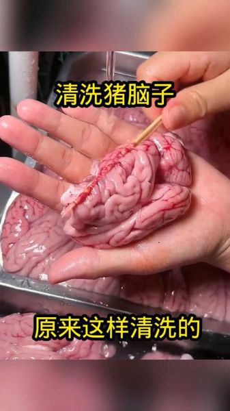 猪脑怎么清洗_猪脑汤的做法大全-第3张图片-山城妙识 猪脑怎么清洗_猪脑汤的做法大全-第3张图片-山城妙识