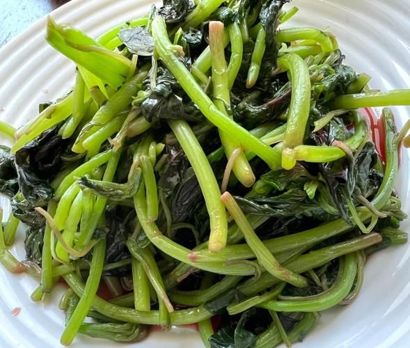 汉菜怎么炒好吃_汉菜焯水几分钟才翠绿-第1张图片-山城妙识 汉菜怎么炒好吃_汉菜焯水几分钟才翠绿-第1张图片-山城妙识