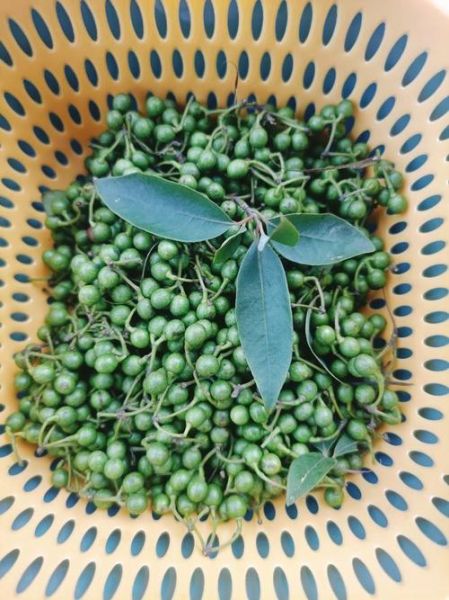 木姜子油怎么做_木姜子油的做法步骤-第2张图片-山城妙识