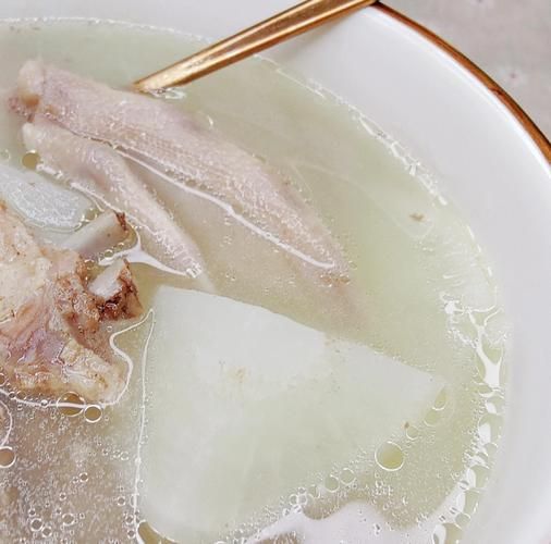 炖鸭子的家常做法_怎样炖鸭子不腥又入味-第3张图片-山城妙识