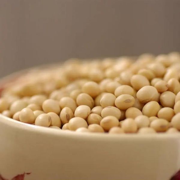 霉千张怎么做_霉千张的做法步骤-第1张图片-山城妙识