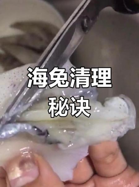 海兔怎么清洗_海兔做法大全-第1张图片-山城妙识 海兔怎么清洗_海兔做法大全-第1张图片-山城妙识