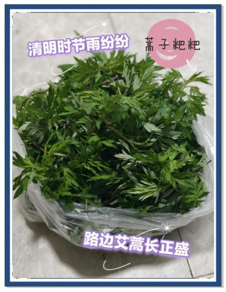 蒿子粑粑怎么做_蒿子粑粑的做法窍门-第2张图片-山城妙识 蒿子粑粑怎么做_蒿子粑粑的做法窍门-第2张图片-山城妙识