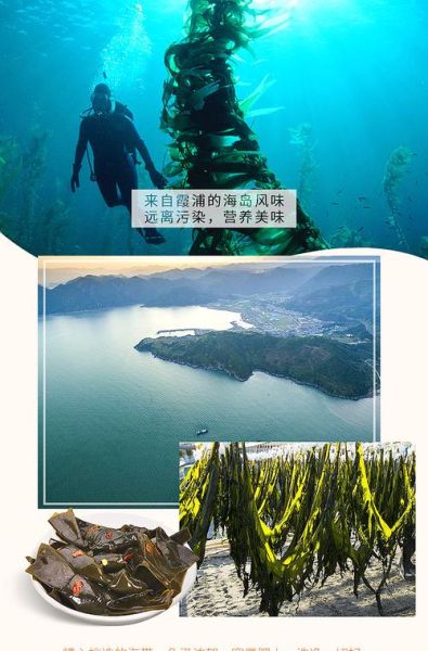 海带扣怎么做好吃_海带扣的做法大全-第1张图片-山城妙识 海带扣怎么做好吃_海带扣的做法大全-第1张图片-山城妙识