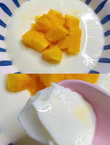 双皮奶怎么做_双皮奶需要哪些材料-第3张图片-山城妙识