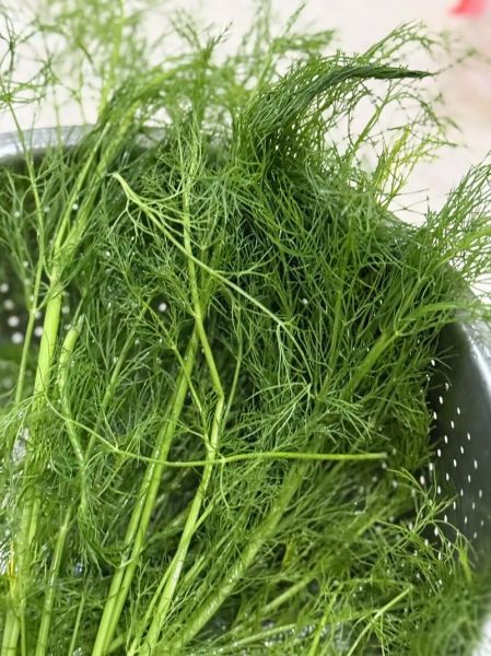 牛肉茴香饺子馅怎么做_牛肉茴香饺子馅的做法窍门-第2张图片-山城妙识 牛肉茴香饺子馅怎么做_牛肉茴香饺子馅的做法窍门-第2张图片-山城妙识