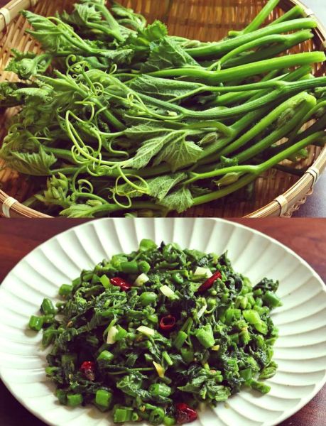 南瓜尖怎么炒好吃_南瓜尖需要焯水吗-第1张图片-山城妙识 南瓜尖怎么炒好吃_南瓜尖需要焯水吗-第1张图片-山城妙识