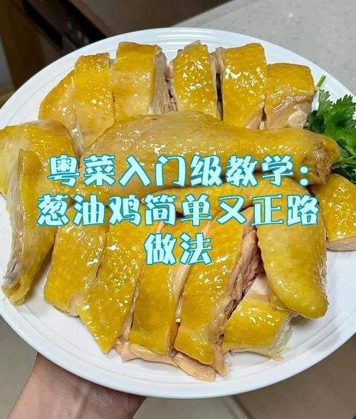 葱油鸡怎么做_正宗做法步骤详解-第3张图片-山城妙识 葱油鸡怎么做_正宗做法步骤详解-第3张图片-山城妙识