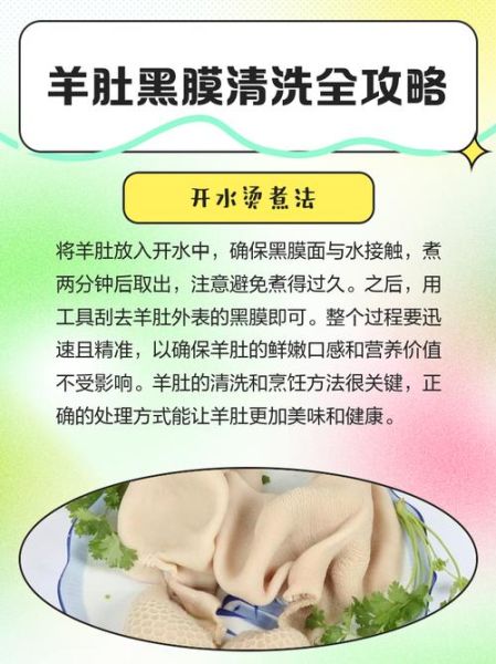 羊肚怎么清洗_羊肚怎么做好吃-第3张图片-山城妙识 羊肚怎么清洗_羊肚怎么做好吃-第3张图片-山城妙识