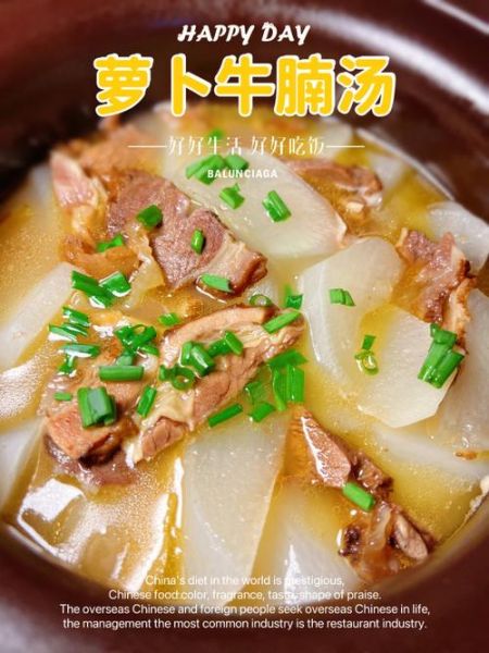牛肉白萝卜汤怎么炖好喝_牛肉白萝卜汤的家常做法-第1张图片-山城妙识 牛肉白萝卜汤怎么炖好喝_牛肉白萝卜汤的家常做法-第1张图片-山城妙识