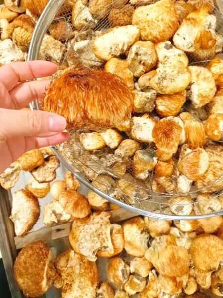 猴头菇怎么做好吃_猴头菇的家常做法步骤-第1张图片-山城妙识 猴头菇怎么做好吃_猴头菇的家常做法步骤-第1张图片-山城妙识