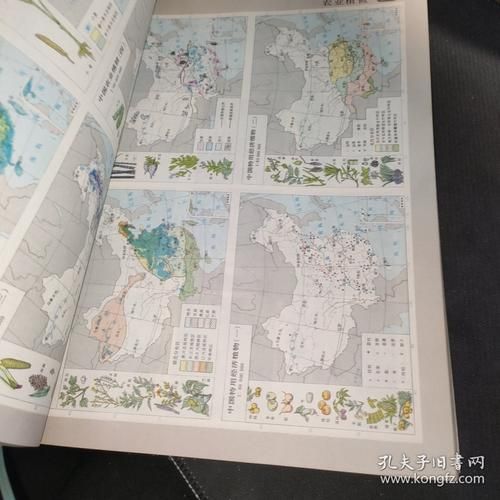 自然地理图集怎么看_自然地理图集有哪些类型-第2张图片-山城妙识 自然地理图集怎么看_自然地理图集有哪些类型-第2张图片-山城妙识