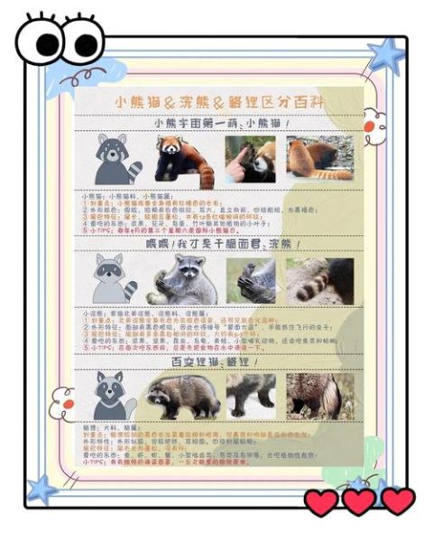 动物地理区有哪些_动物地理区如何划分-第2张图片-山城妙识 动物地理区有哪些_动物地理区如何划分-第2张图片-山城妙识