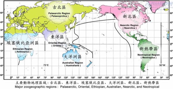 动物地理区有哪些_动物地理区如何划分-第1张图片-山城妙识 动物地理区有哪些_动物地理区如何划分-第1张图片-山城妙识