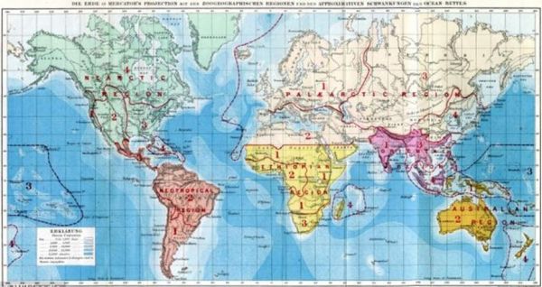 动物地理区有哪些_动物地理区如何划分-第3张图片-山城妙识 动物地理区有哪些_动物地理区如何划分-第3张图片-山城妙识