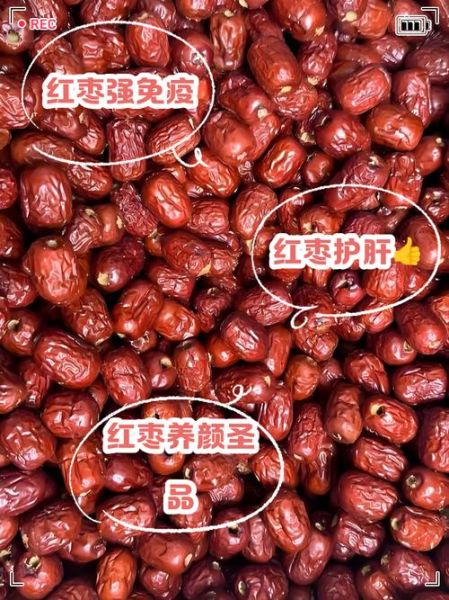 地理枣产地在哪里_地理枣功效与作用-第2张图片-山城妙识 地理枣产地在哪里_地理枣功效与作用-第2张图片-山城妙识