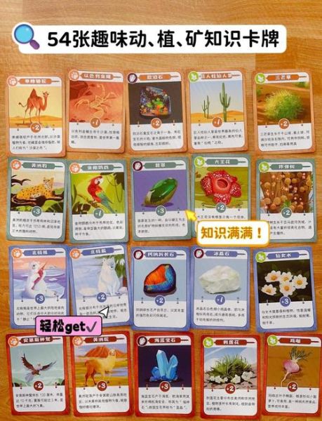 地理知识游戏有哪些_如何设计地理知识游戏-第1张图片-山城妙识 地理知识游戏有哪些_如何设计地理知识游戏-第1张图片-山城妙识