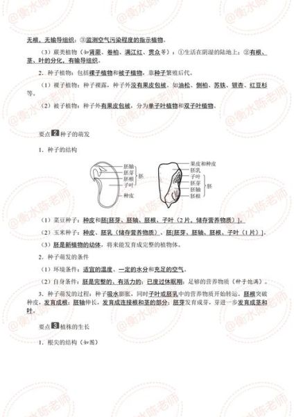 中考生物地理等级怎么划分_如何提高等级-第1张图片-山城妙识