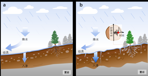 气候如何改变地形_气候对土壤的影响有哪些-第3张图片-山城妙识