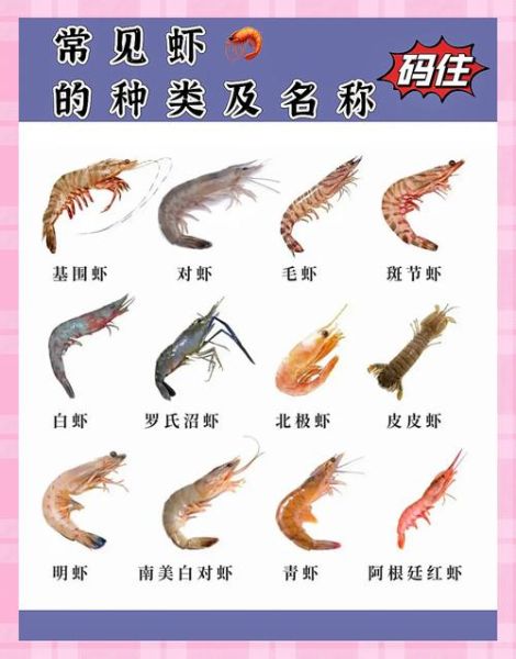 虾地理分布在哪里_虾主要生活在哪些海域-第2张图片-山城妙识 虾地理分布在哪里_虾主要生活在哪些海域-第2张图片-山城妙识