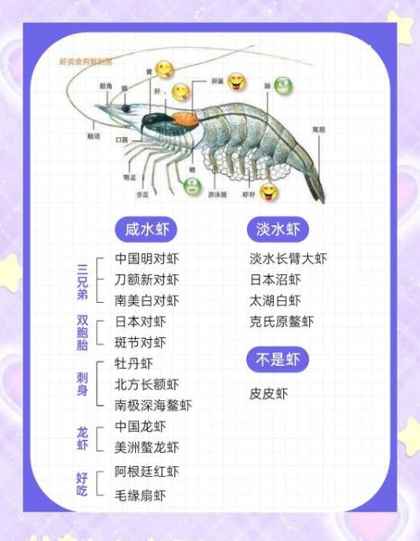 虾地理分布在哪里_虾主要生活在哪些海域-第3张图片-山城妙识 虾地理分布在哪里_虾主要生活在哪些海域-第3张图片-山城妙识