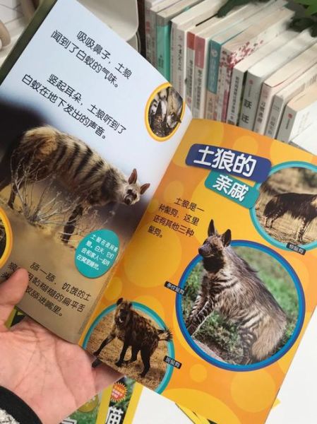 环球少年地理怎么样_适合几岁孩子阅读-第1张图片-山城妙识 环球少年地理怎么样_适合几岁孩子阅读-第1张图片-山城妙识