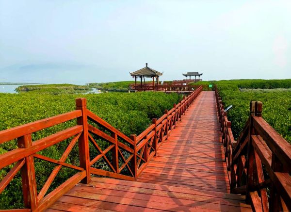 萝北旅游景点有哪些_萝北自驾游路线推荐-第1张图片-山城妙识 萝北旅游景点有哪些_萝北自驾游路线推荐-第1张图片-山城妙识