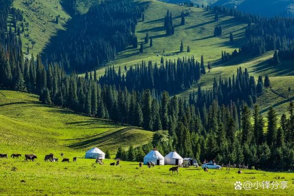伊犁哈萨克自治州旅游景点有哪些_伊犁旅游最佳时间-第3张图片-山城妙识 伊犁哈萨克自治州旅游景点有哪些_伊犁旅游最佳时间-第3张图片-山城妙识