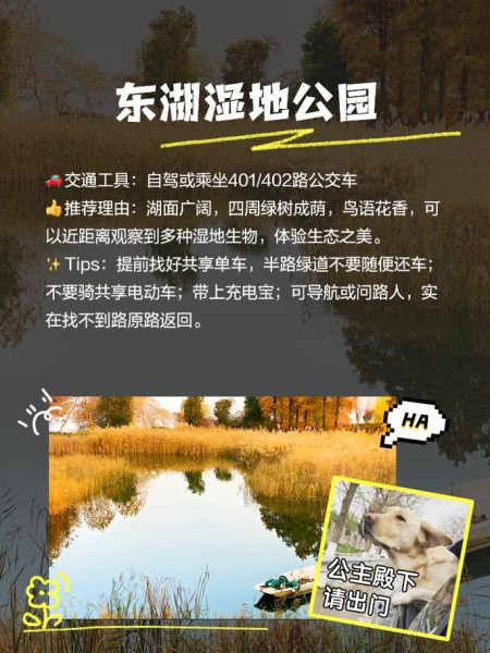 南乐有什么好玩的景点_南乐一日游最佳路线-第2张图片-山城妙识