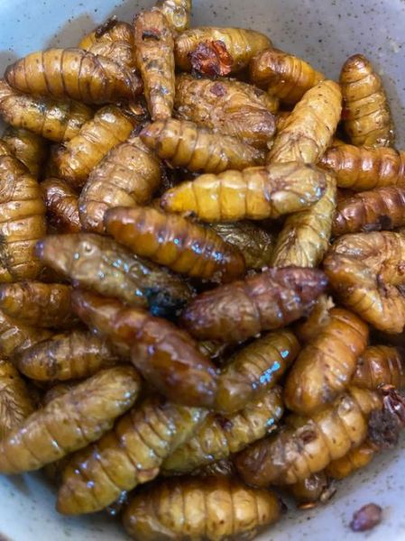 蚕蛹怎么做好吃_蚕蛹的家常做法大全-第1张图片-山城妙识 蚕蛹怎么做好吃_蚕蛹的家常做法大全-第1张图片-山城妙识